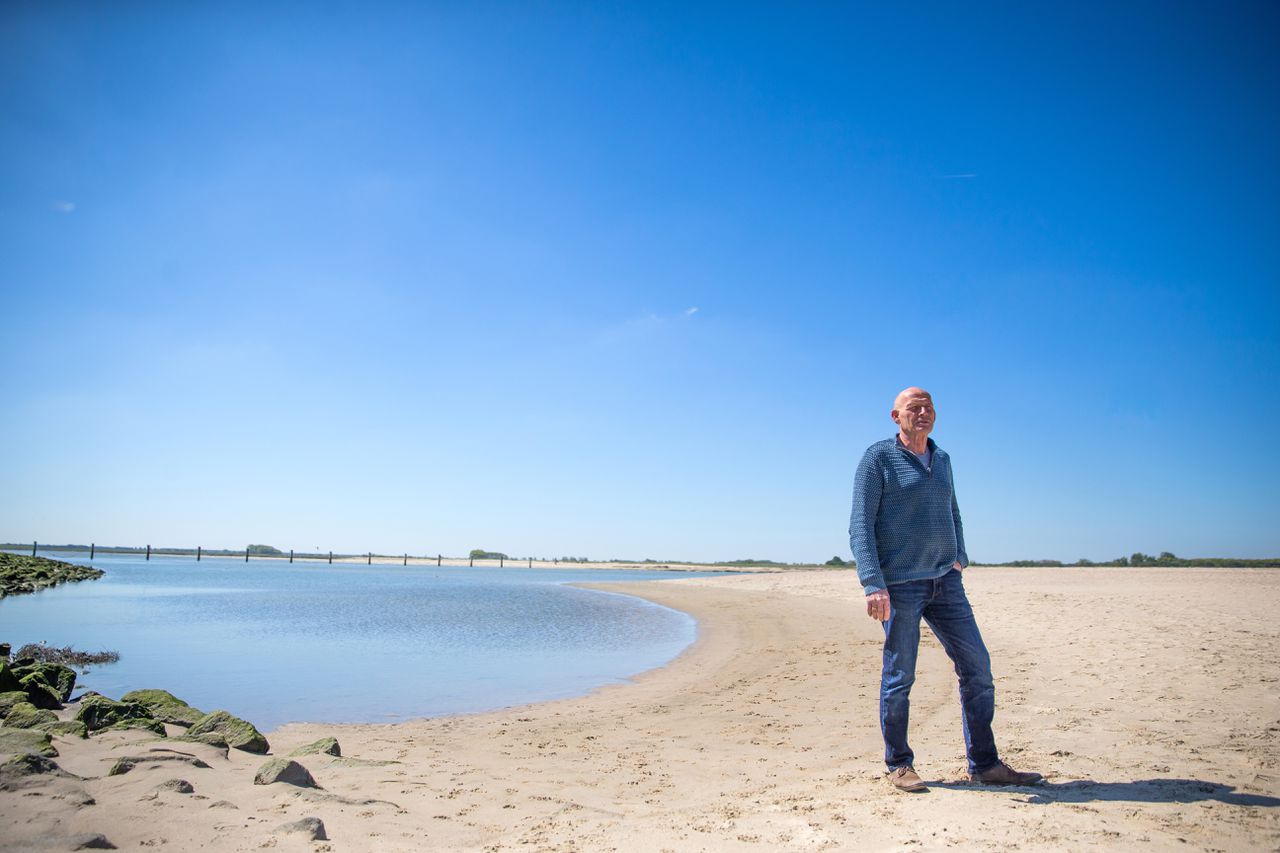 “Kustvogels eten zich hier weer rond”