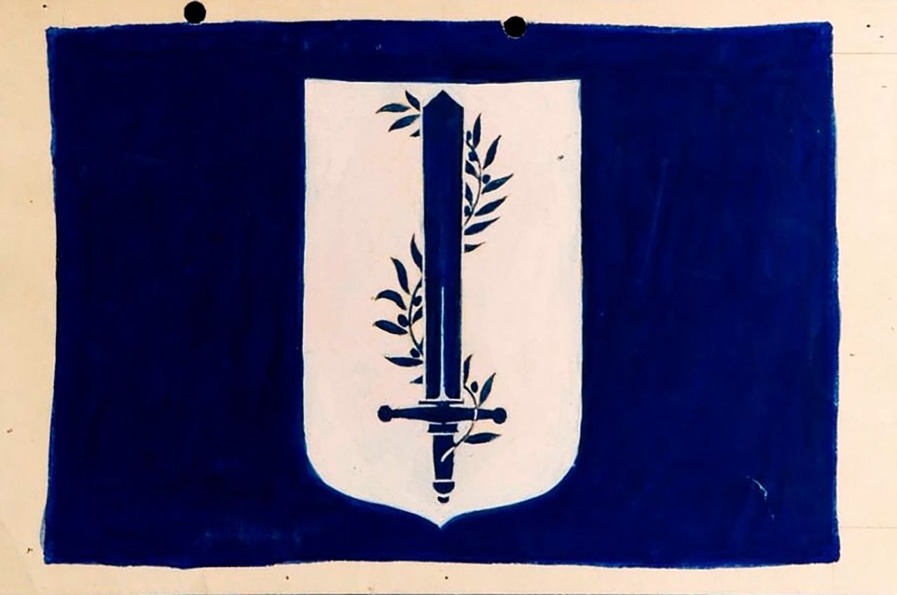 De Europese vlag bestaat 70 jaar. Hoe kijken we nu naar dit symbool ...
