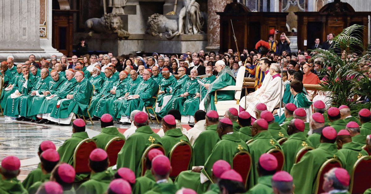 Vaticaanse synode was ‘een stap in de goede richting’ - NRC