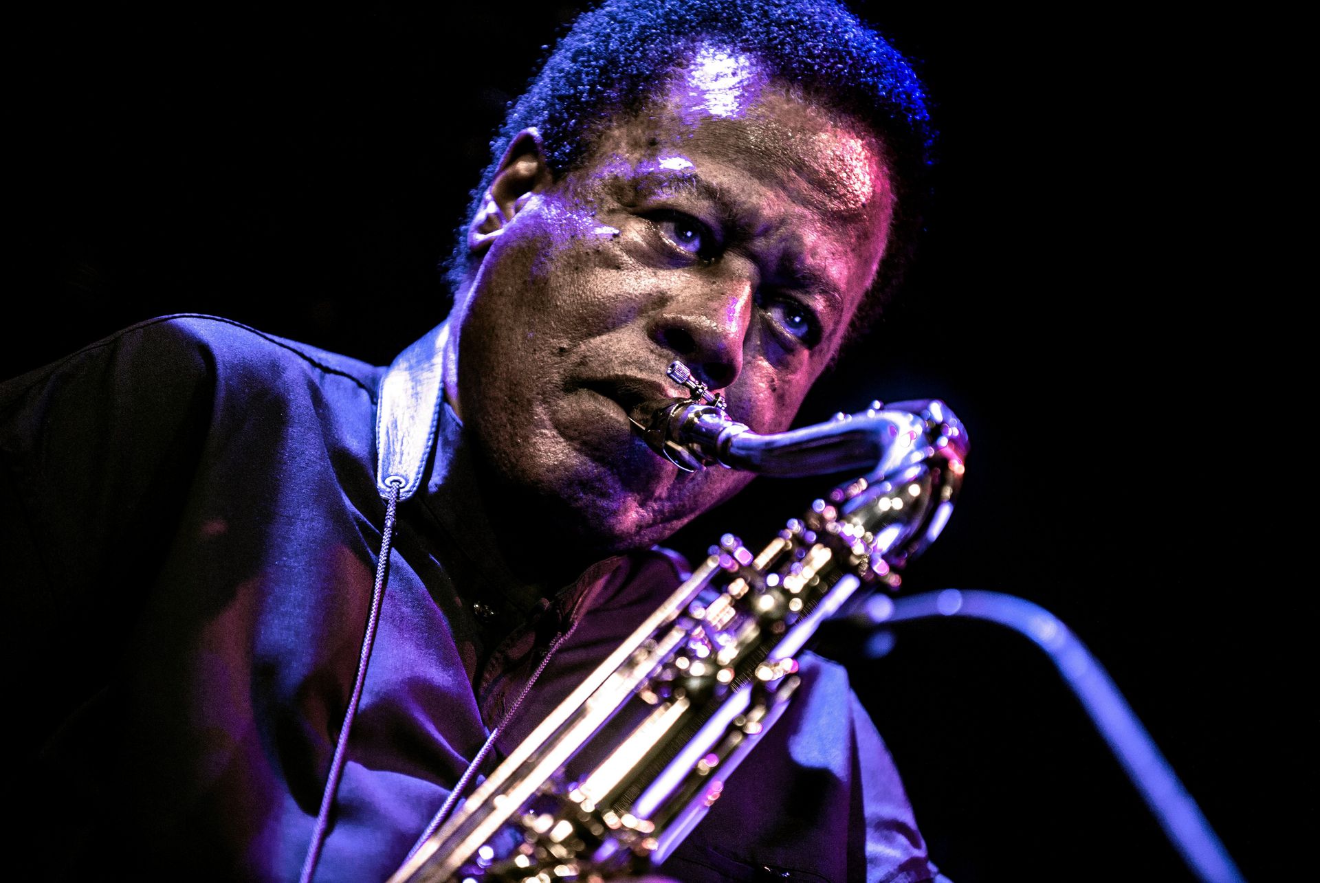 De sax was voor Wayne Shorter een kwast waarmee hij kleuren bleef ...