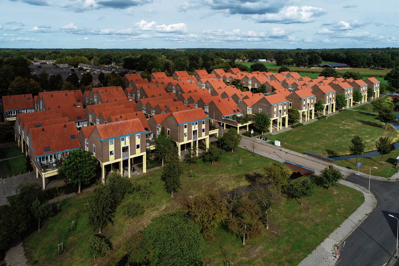 Heilige koeien in de Kasbah in Hengelo - NRC