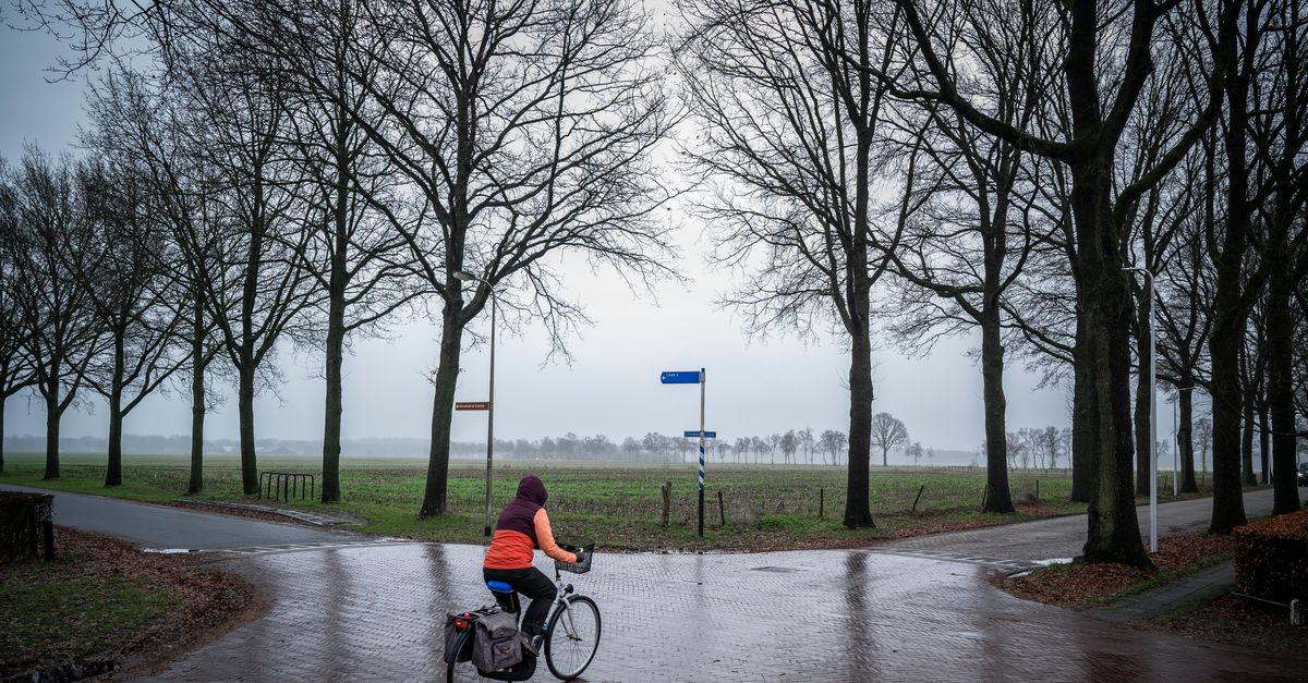 De potige plattelandsvrouwen komen je halen - NRC