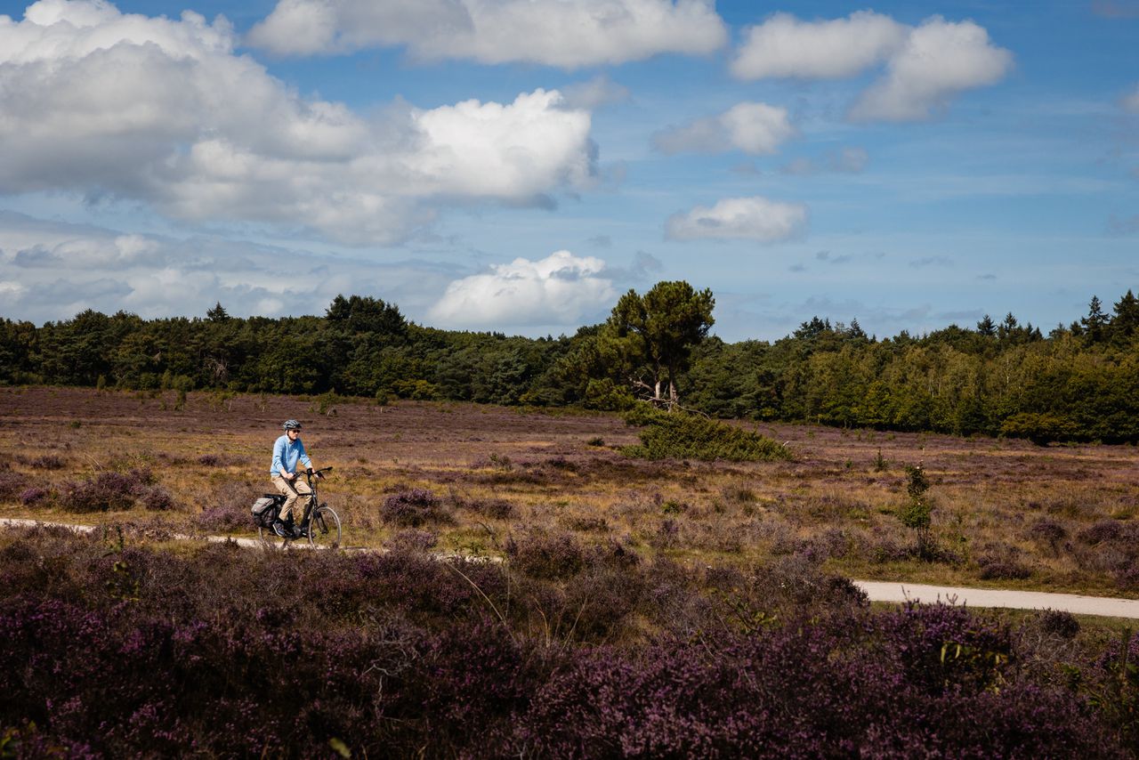 Nu volgt de serieuze sprong in het diepe: 24 pensioenfondsen stappen ...