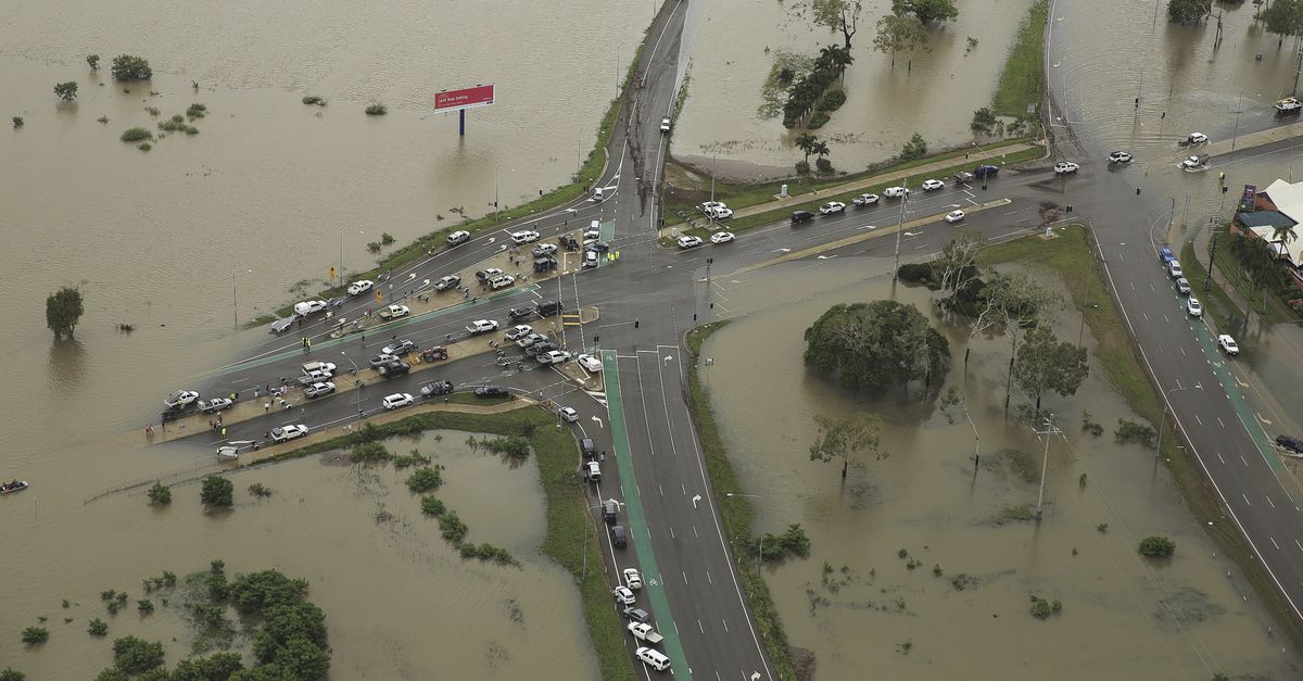 Krokodillen in de straat in het overstroomde Townsville, Australië - NRC