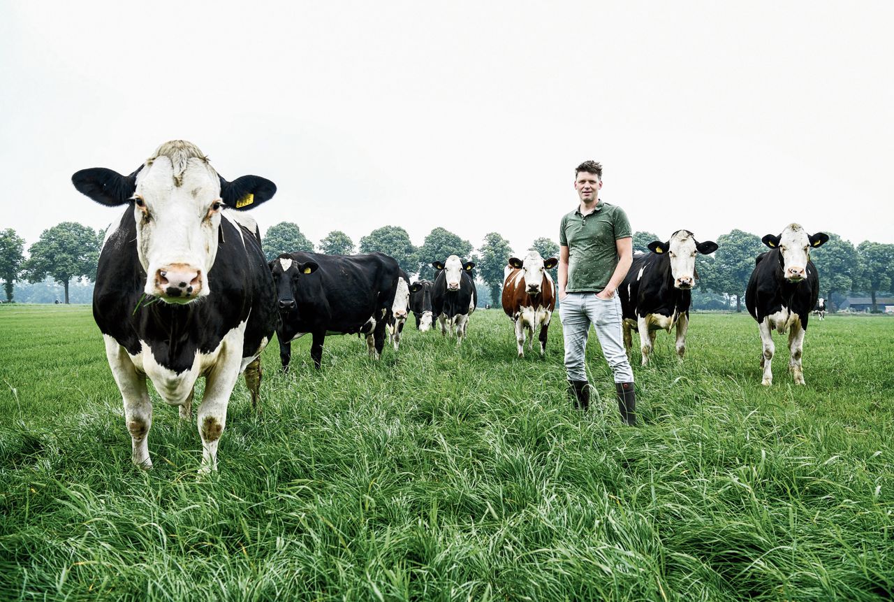 Boer Toon experimenteert met kringlooplandbouw en oude kennis - NRC