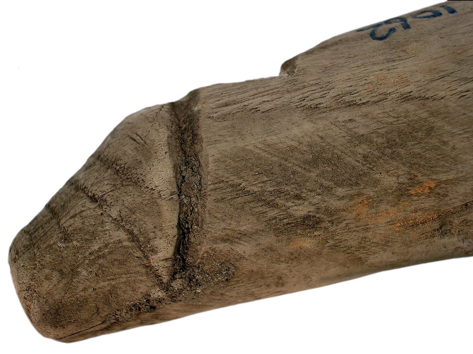 Archeologen Vinden Een Romeinse Houten Penis ‘met Gebruikssporen Nrc