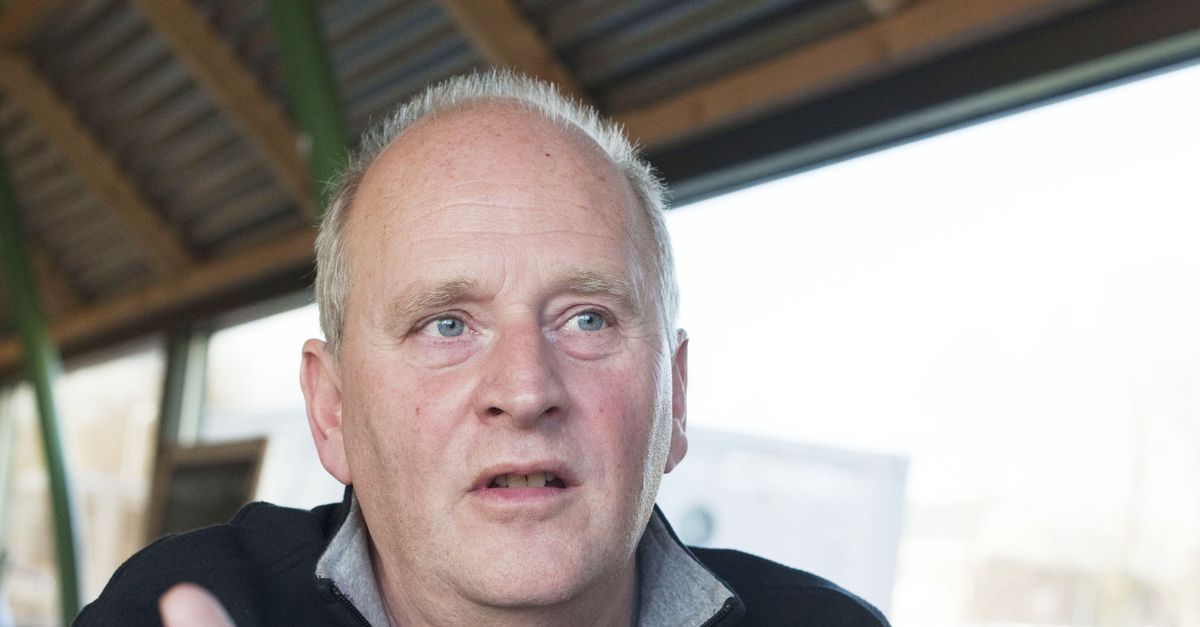 De stelling van Herman Koch: Wat een groot publiek aanspreekt, is niet ...