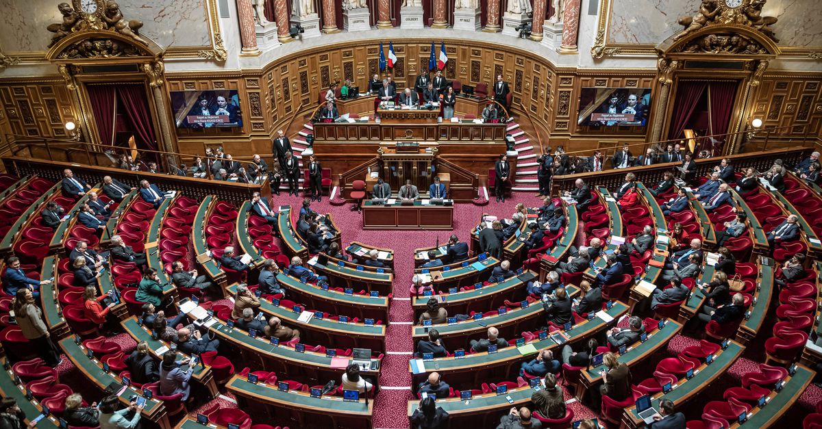 Website Franse senaat platgelegd door cyberaanval, pro-Russisch ...