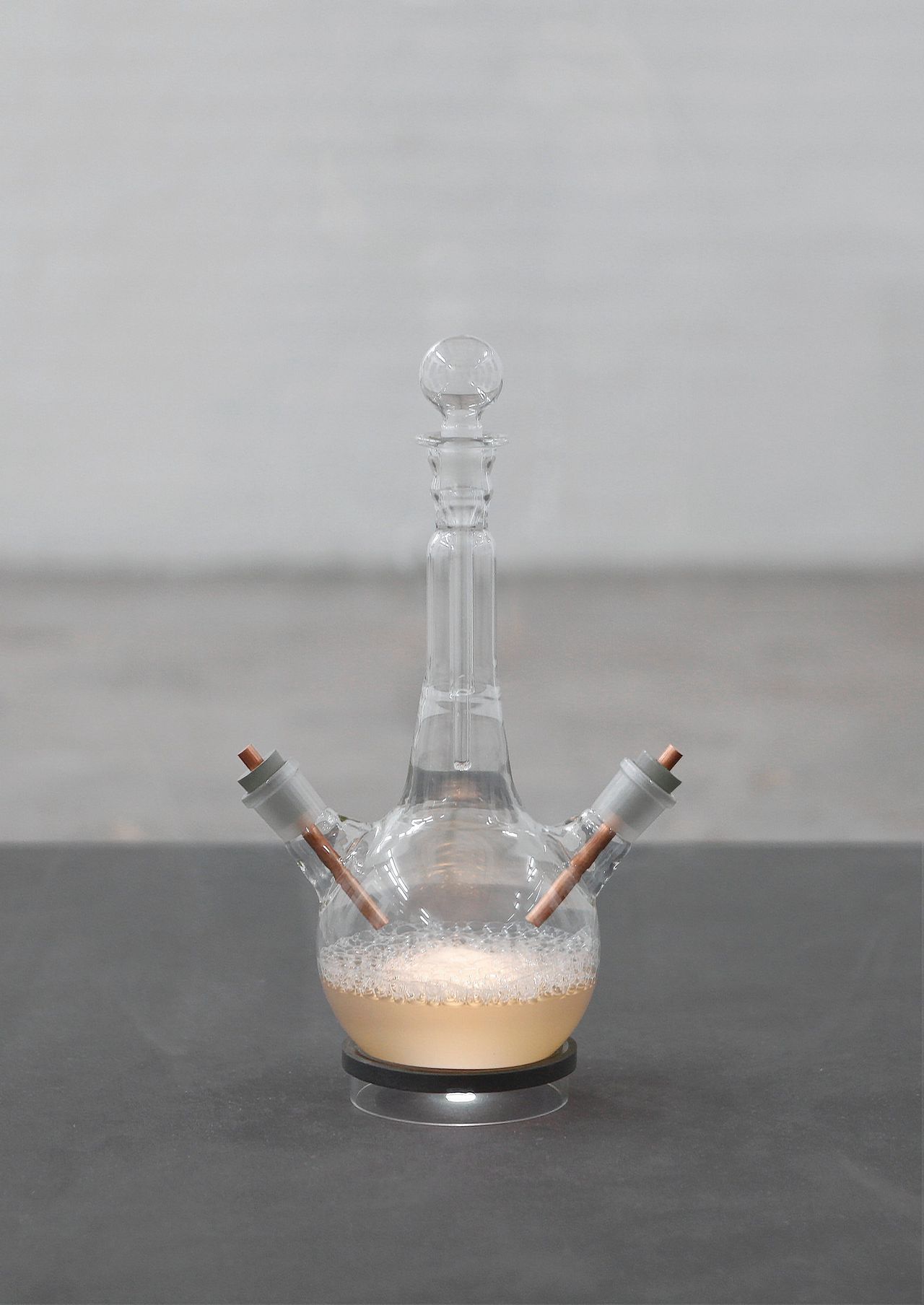 De mens blieft de naaktslak niet. Maar is dat terecht? - NRC