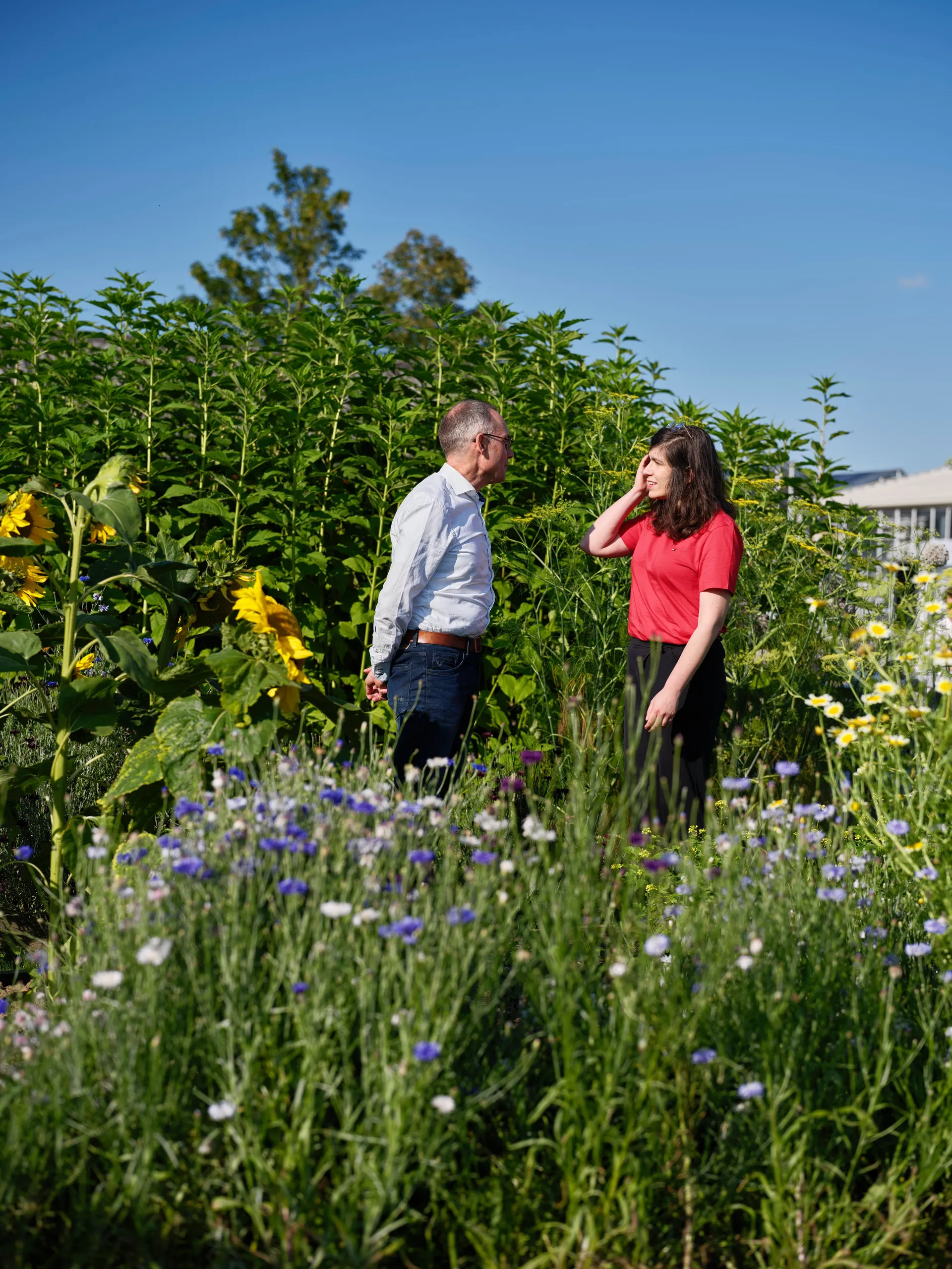 ‘Als je ziet wat die dieren moeten doorstaan, vind je dat dan iets om ...