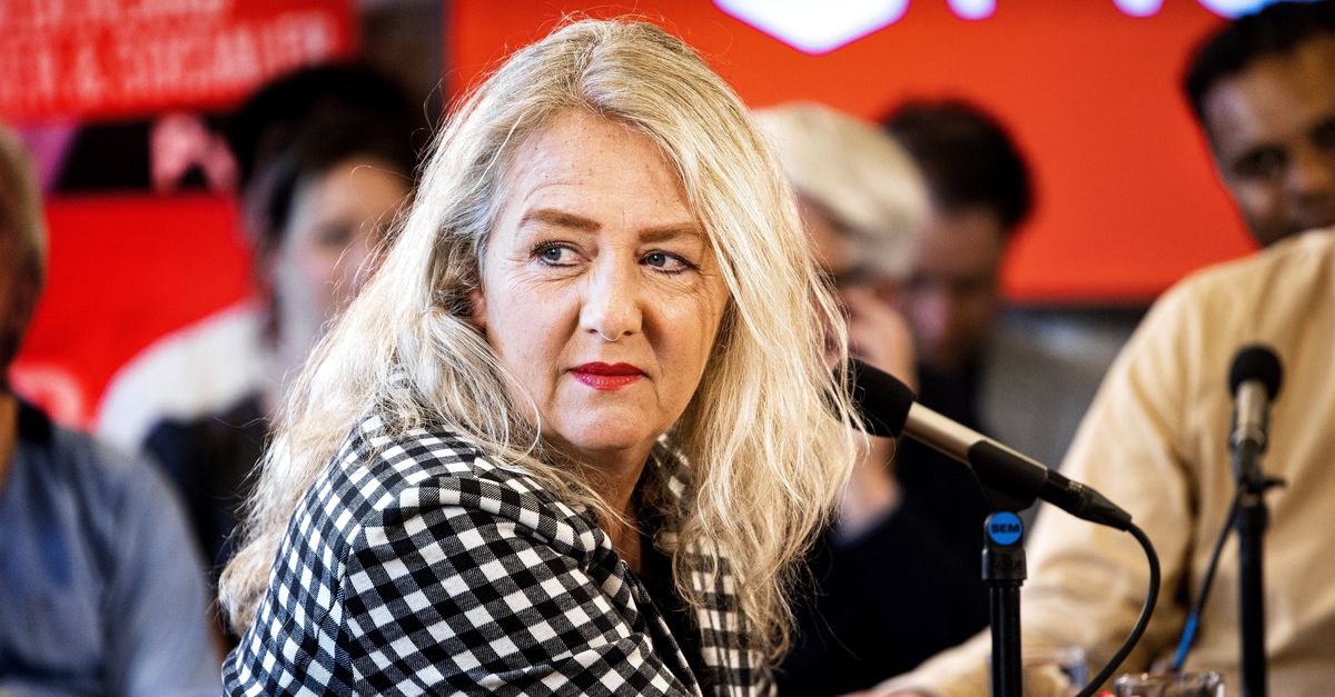 De poging tot daadkracht van de PvdA-top kan de partij een zetel kosten ...
