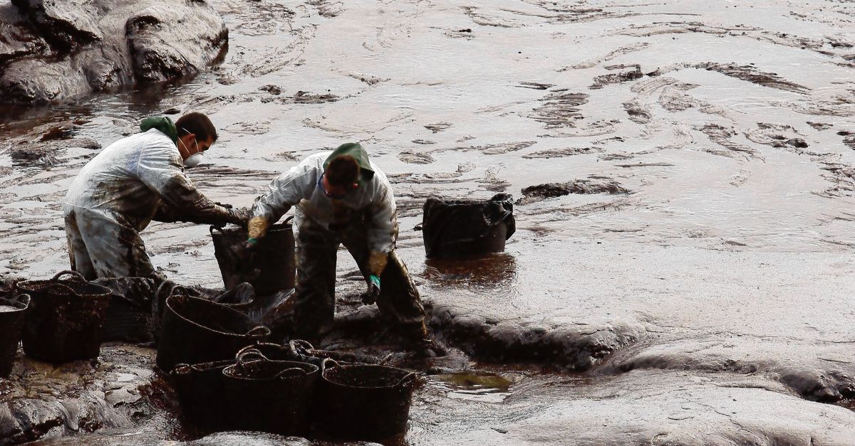 Opinie | Strafbaarstelling ecocide moet meer zijn dan symboliek - NRC