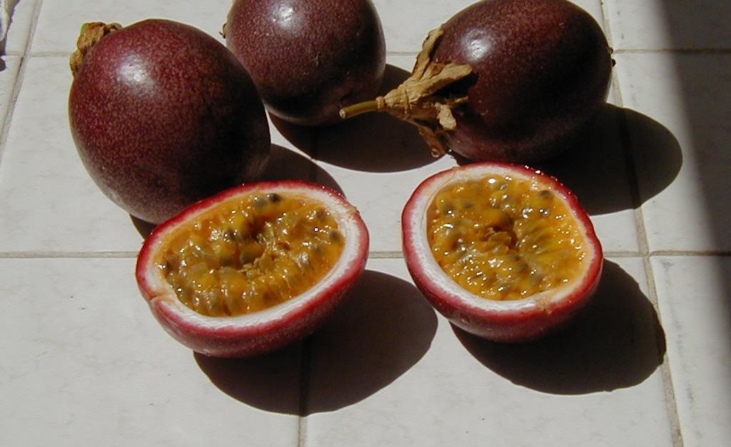 Vrucht voor bij kreeftjes - NRC