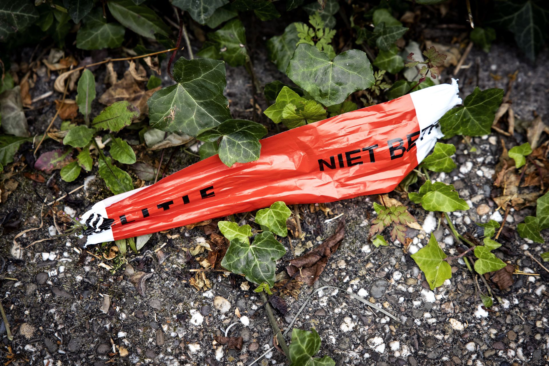 Opinie | Geef ons instrumenten om rellen te voorkomen - NRC