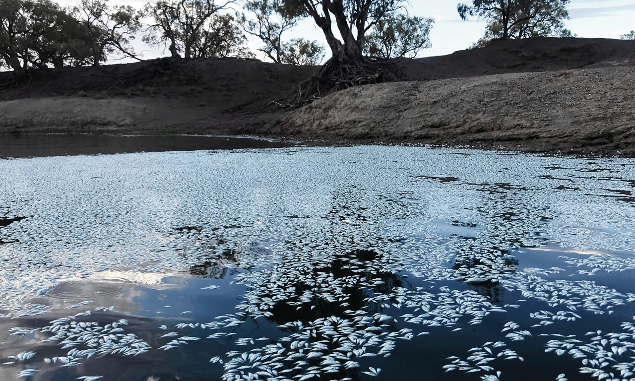 Jan van Poppel - NRC