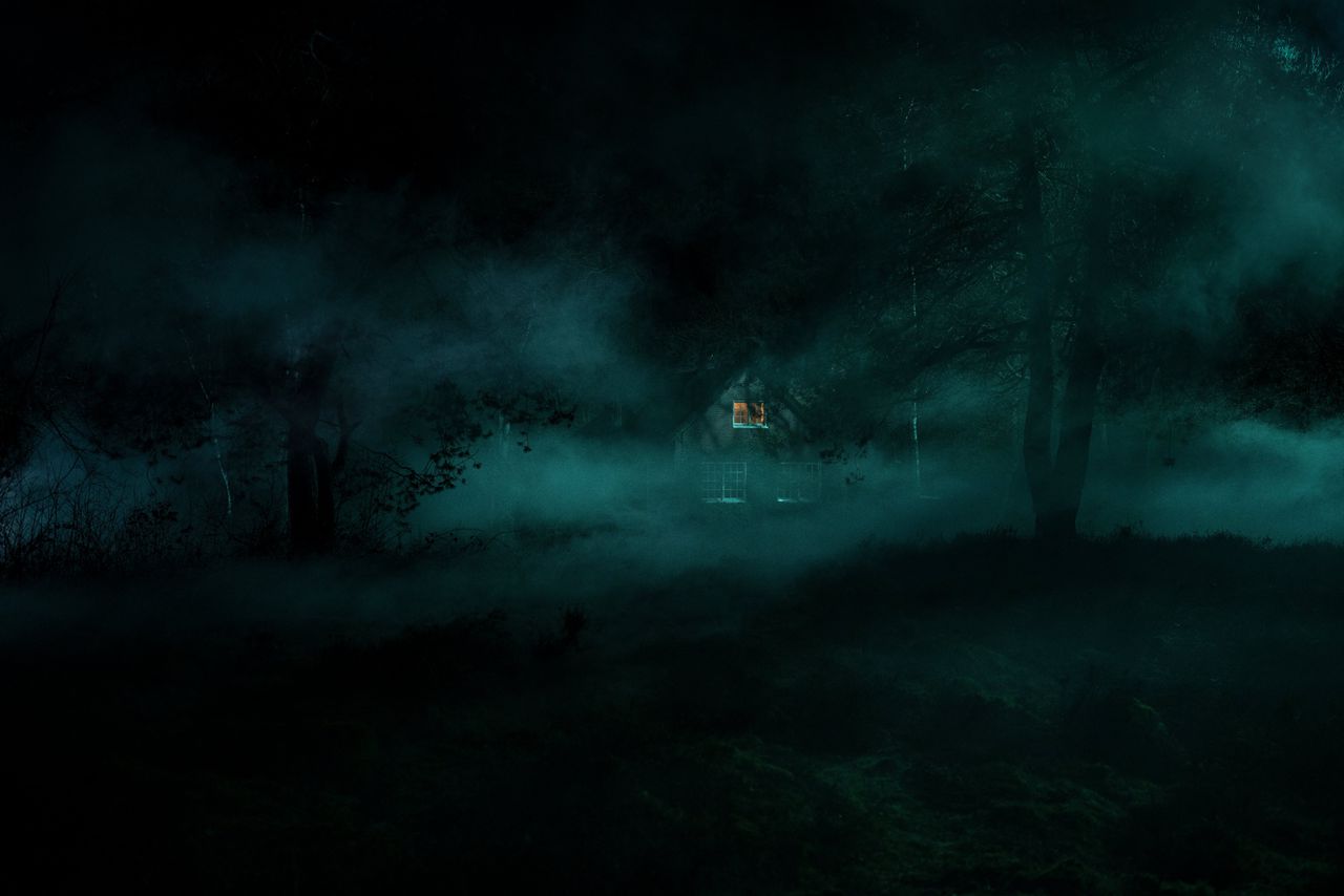 Nederlandse horror in de veenmist - NRC