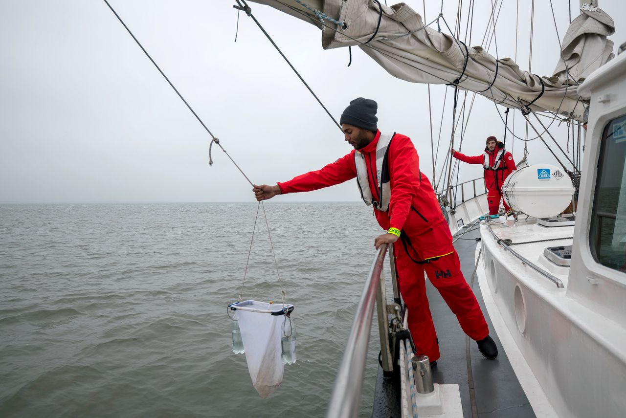 Liever het ruime sop dan het riante salaris - NRC