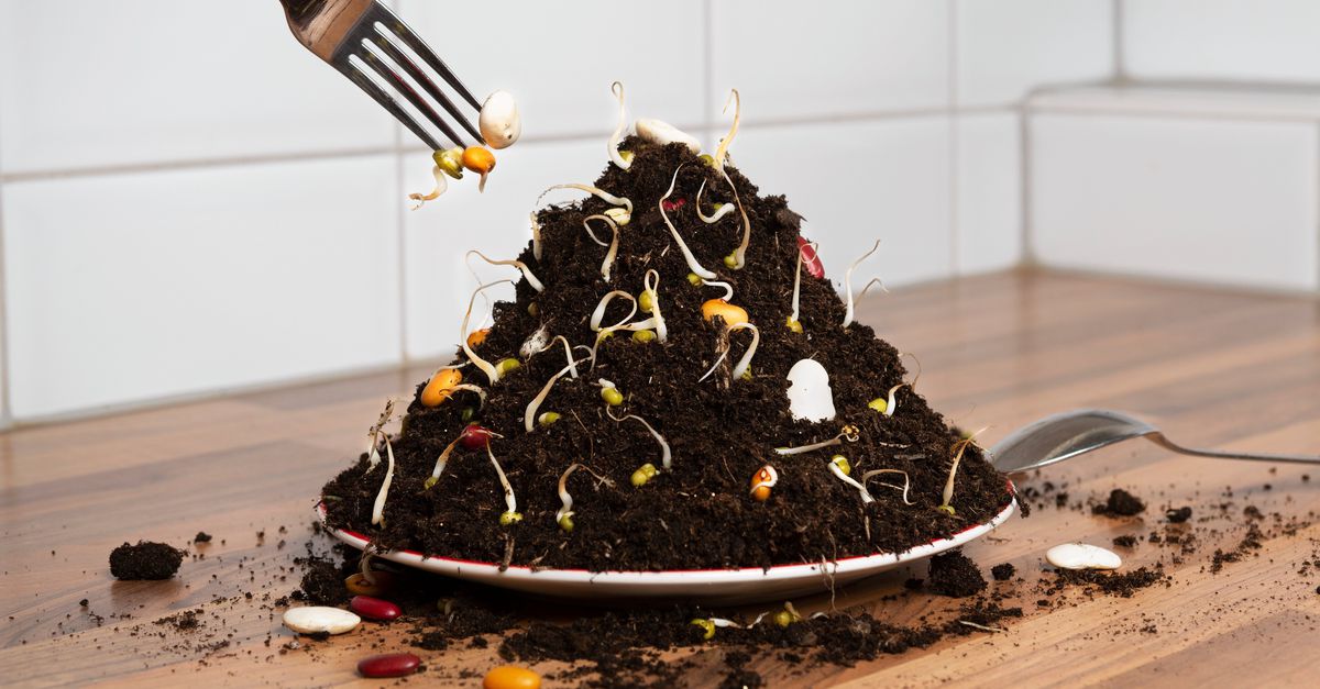 De boon verdient wel een heiligverklaring - NRC