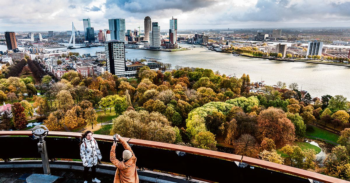 NRC checkt: ‘Opleidingsniveau R’dam is nu hoger dan het landelijke’