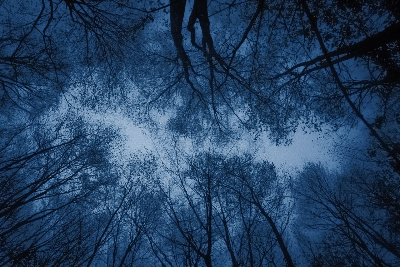 Kijken met je voeten in het grenzeloze donker tijdens Amsterdam Dark ...