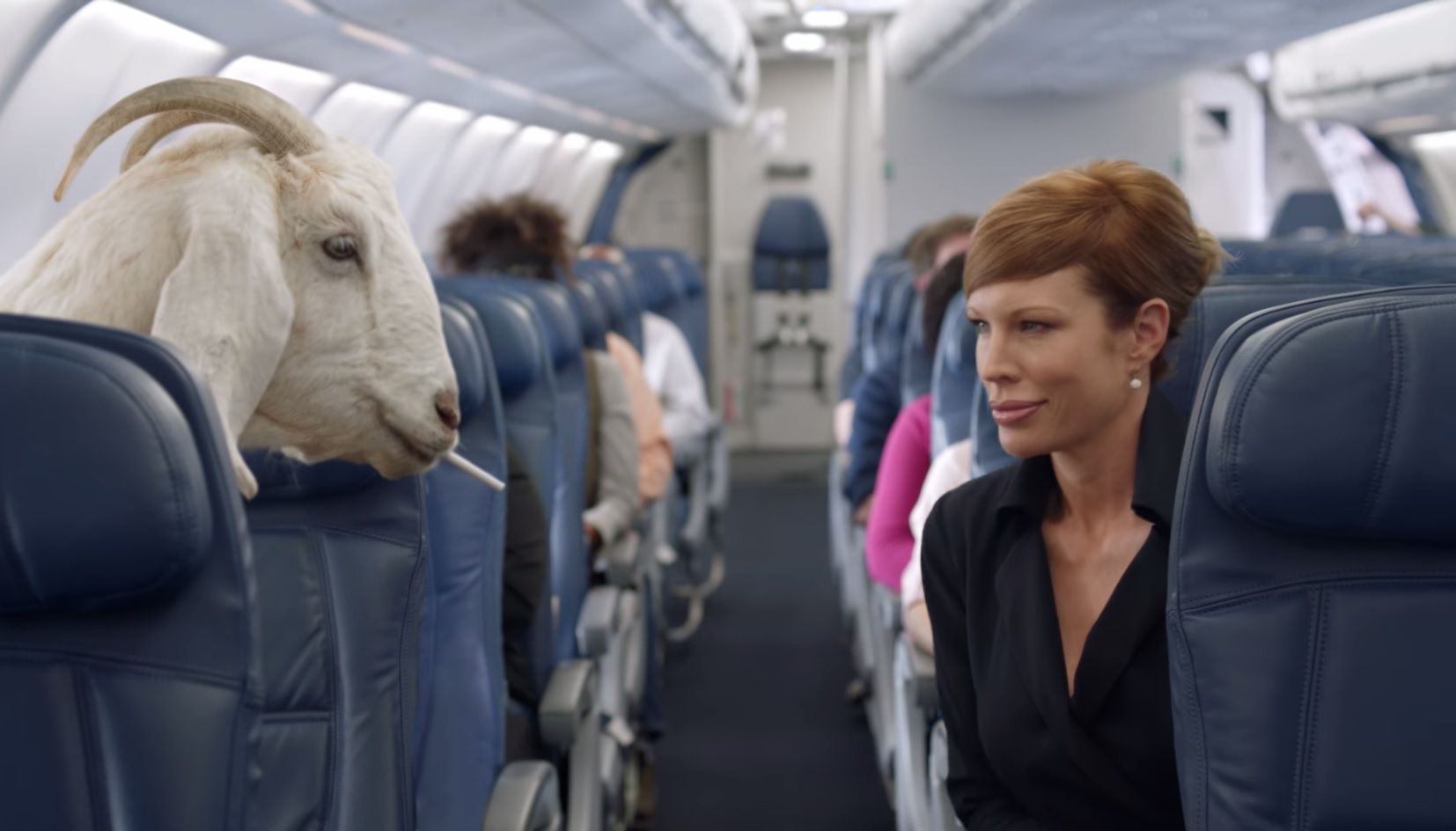 De Harlem Shake en gillende geiten. Zo vlieg je veilig met Delta ...