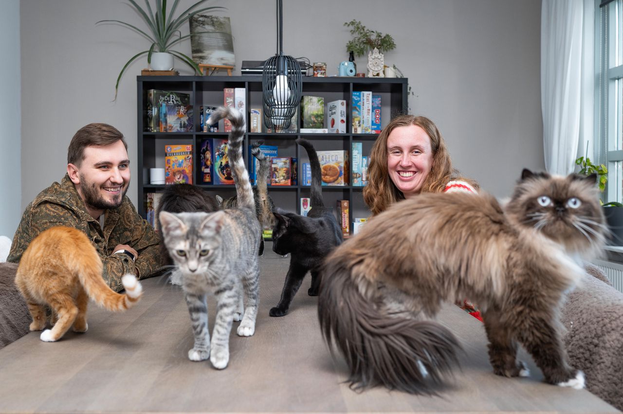 ‘Ik zei voor de gein: zou zo’n kattencafé iets voor mij zijn?’ - NRC