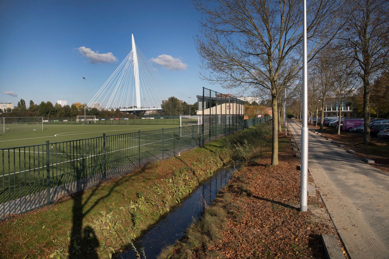 KNVB zegt lidmaatschap amateurclub SVA Papendorp op - NRC