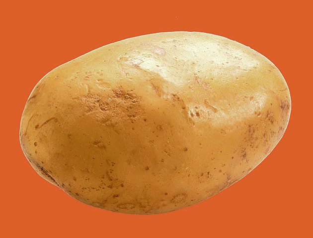 Column | Joël Broekaert Zweedse berehap - NRC