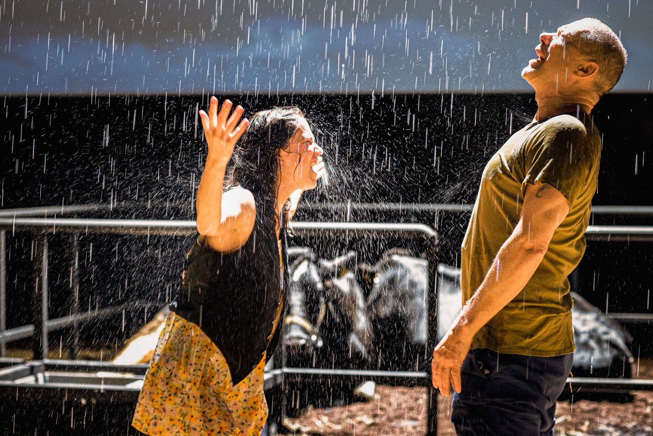 Waar staat Ivo van Hove nu? Bij ‘Mijn lieve gunsteling’ toont hij zich ...