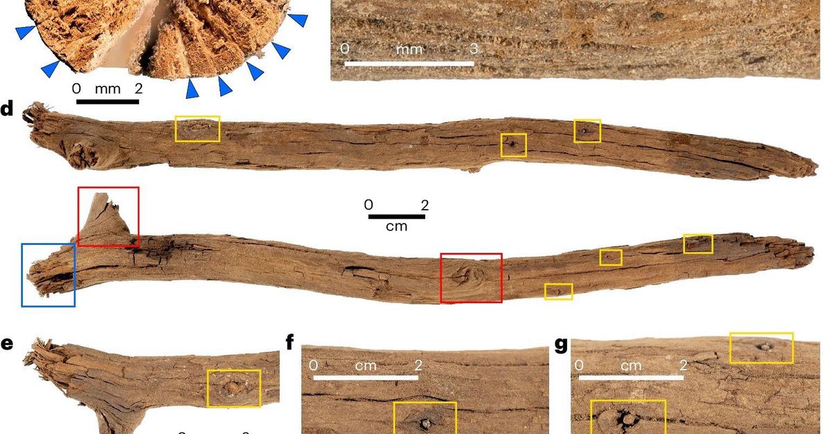 Aboriginals geven al twaalfduizend jaar een magisch ritueel door, van ...