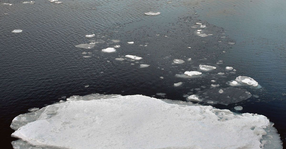 Zeeijs is op dramatisch dieptepunt - NRC