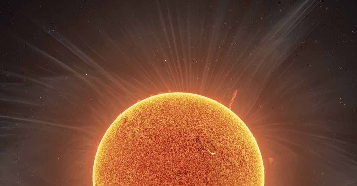 Plakken, stacken, prutsen voor een perfecte zonnefoto - NRC