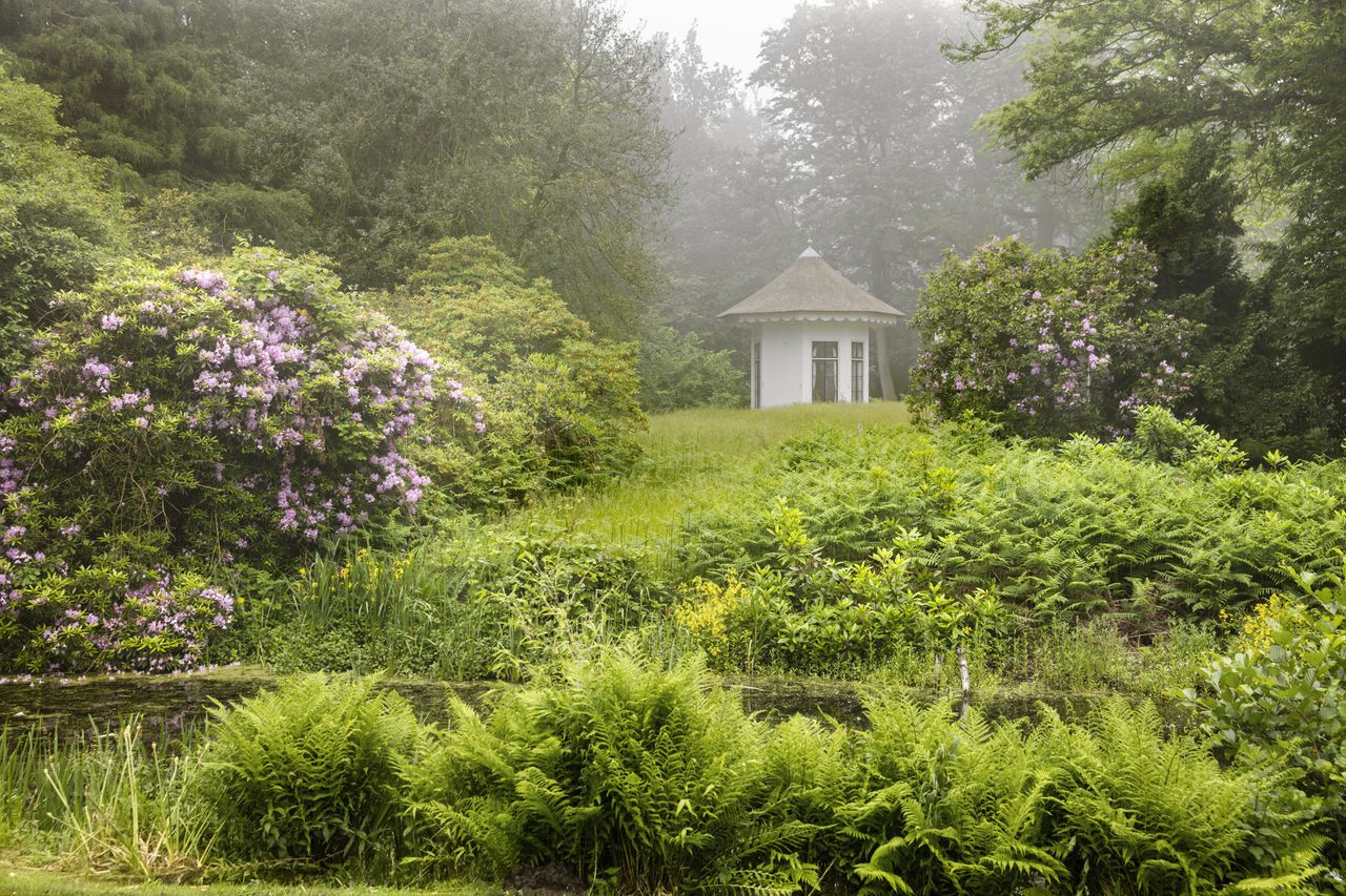 Opinie | Zorg vraagt moed, vooral in een tijd van cynisme en ...