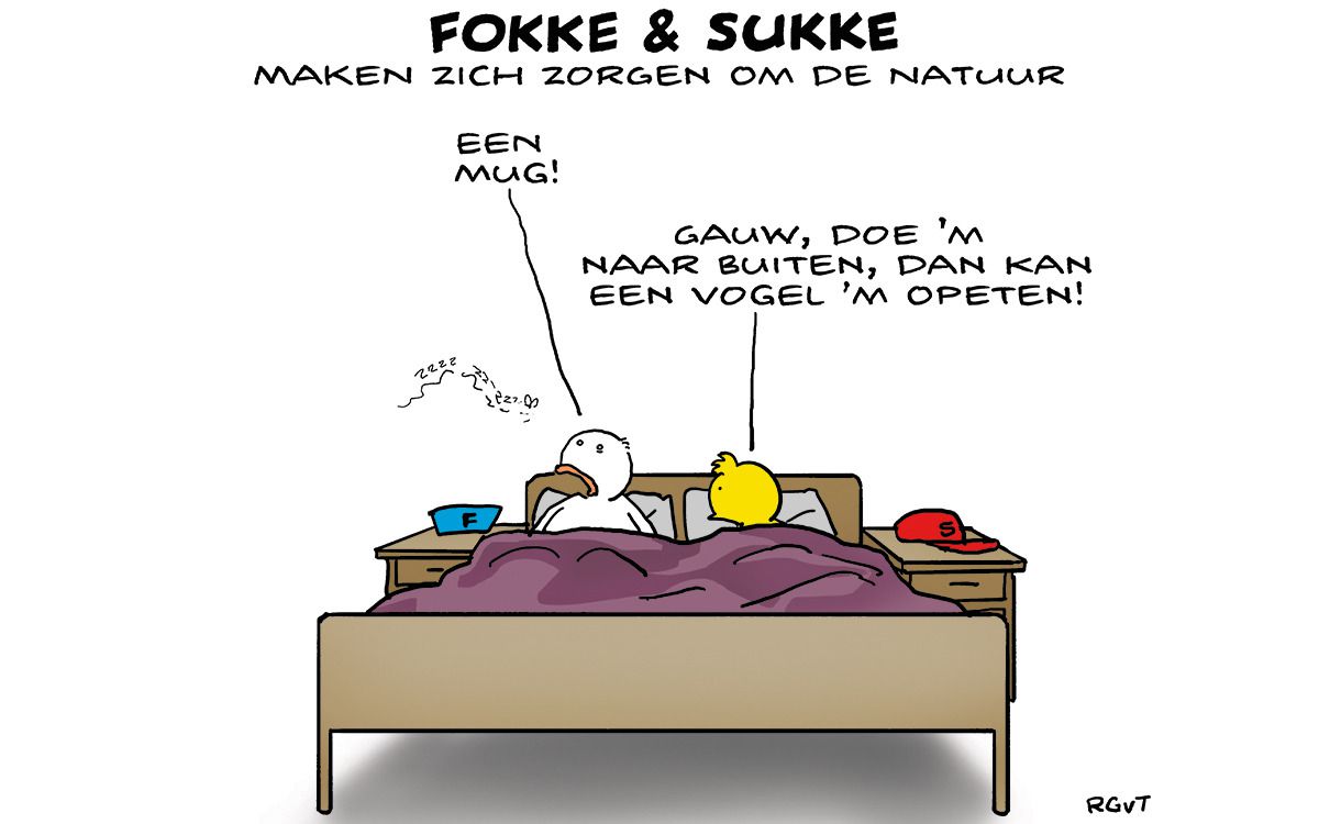 Fokke & Sukke - NRC