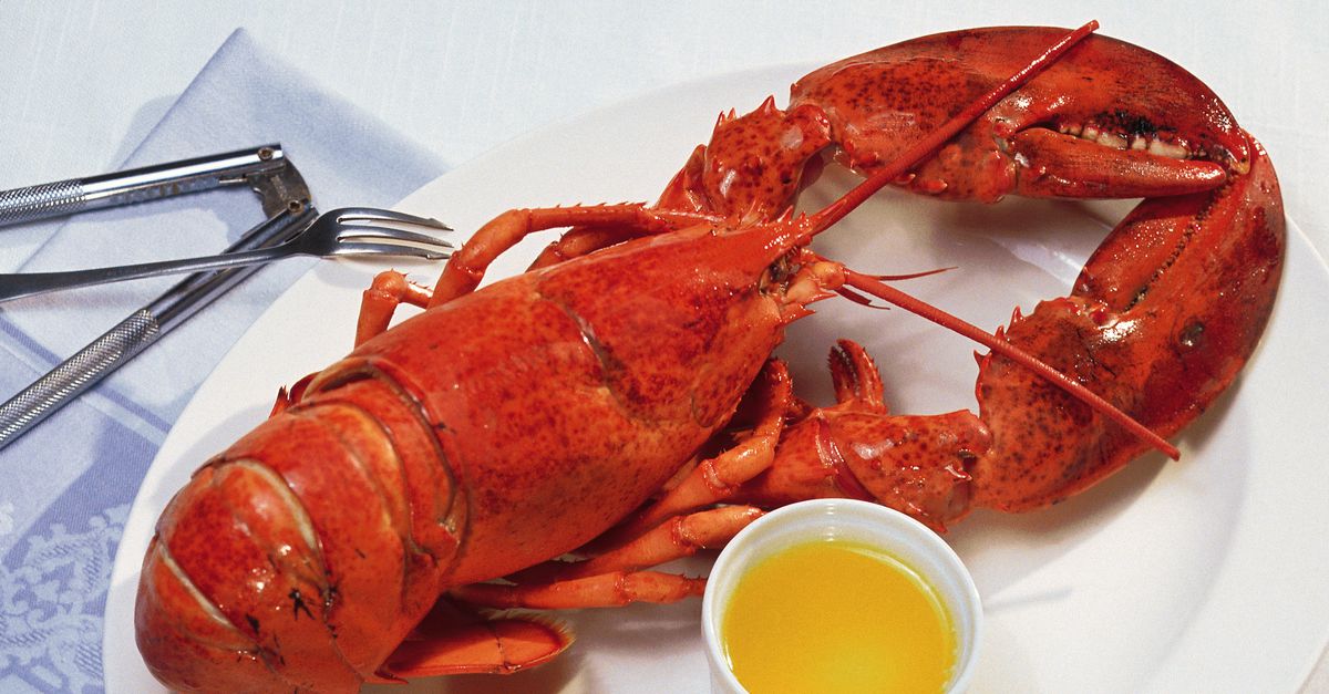 Gillende kreeften koken - NRC