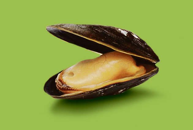 De Zeeuwse mossel is er weer (en weer weg) - NRC
