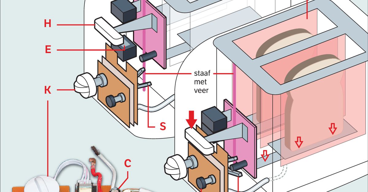 Dit broodrooster van de Hema kost maar… - NRC