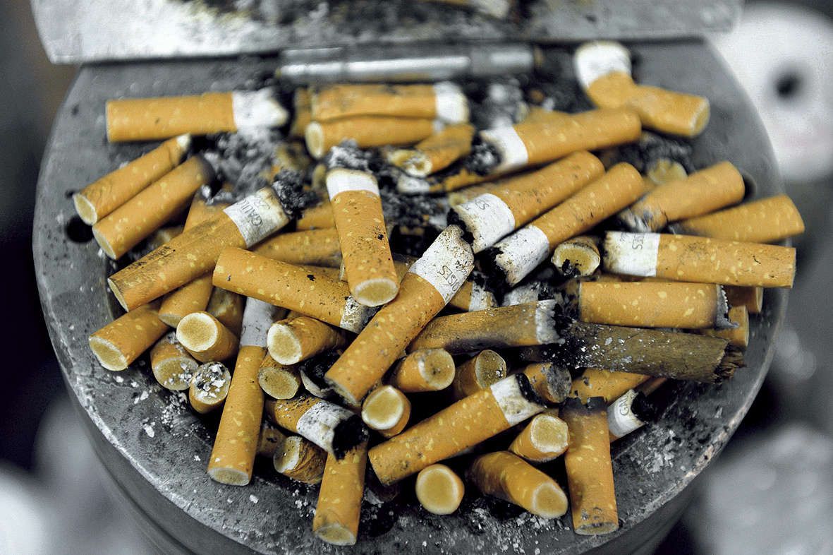 Eén vaccinatie beschermt muizen levenslang tegen rookverslaving - NRC