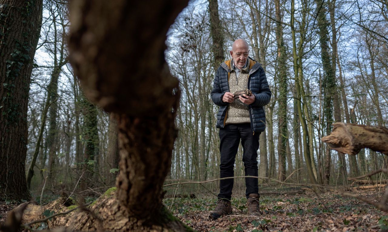 Wouter van Noort - NRC