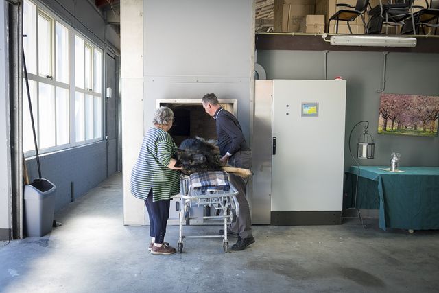 Achter de schermen van het dierencrematorium - NRC