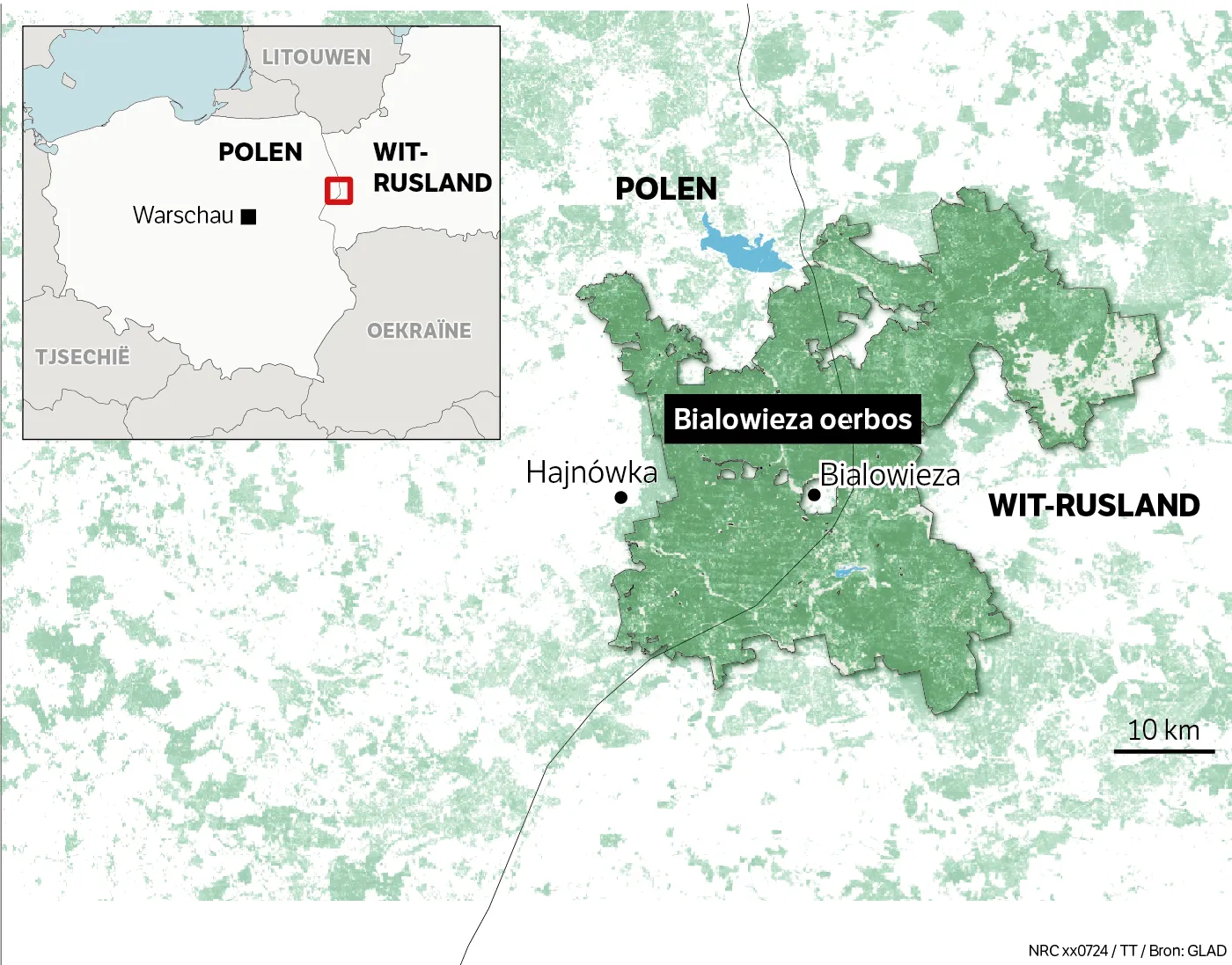 ‘Het oerbos in Oost-Europa zou voor ons net zo belangrijk moeten zijn ...