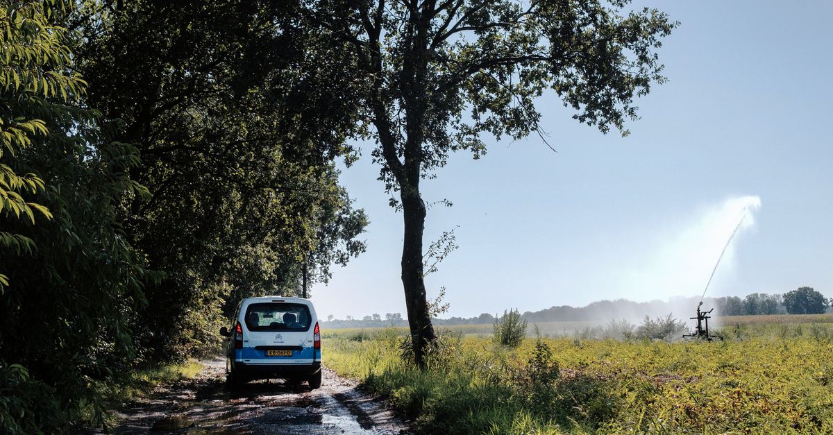 Ondanks regen kampt Nederland nog met serieus watertekort - NRC