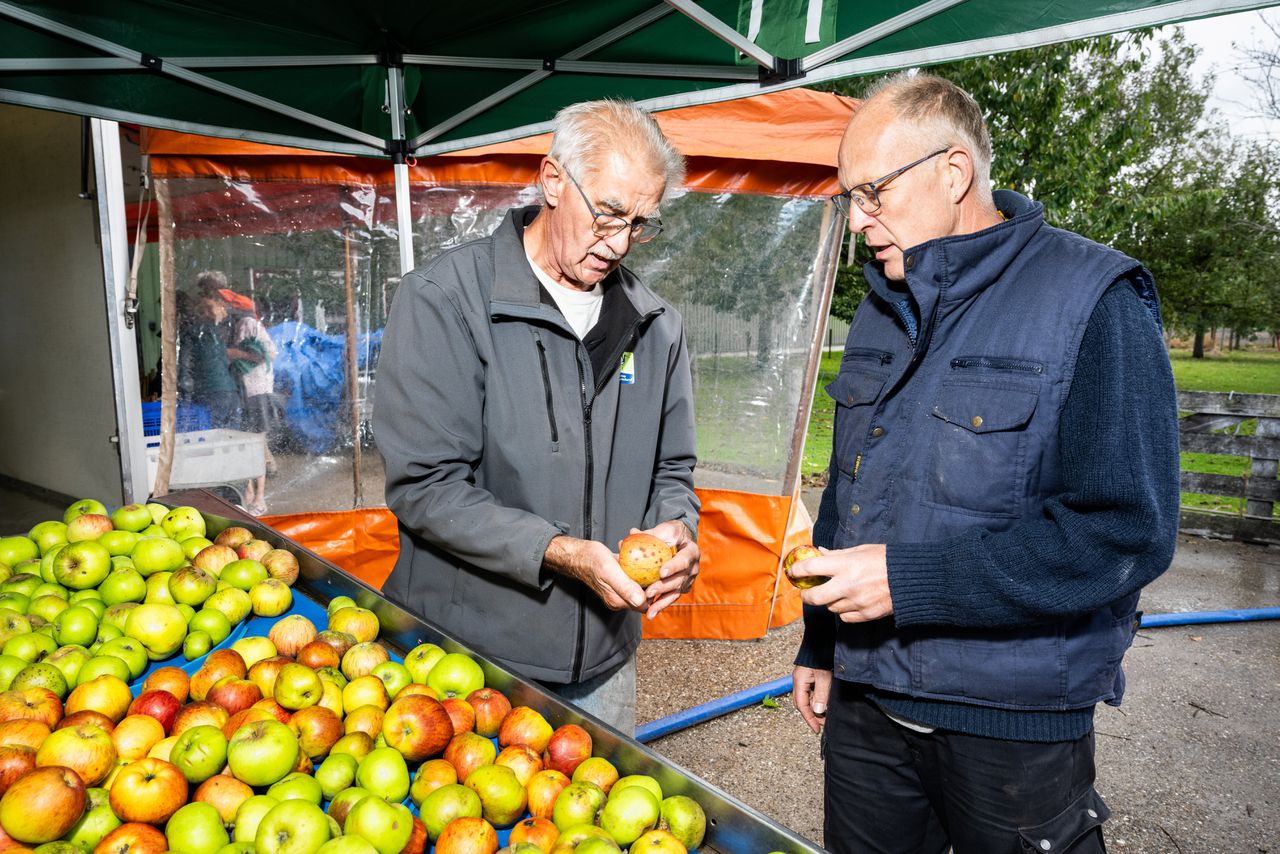 Particulieren komen om in de rijpe appels deze herfst. De reizende ...