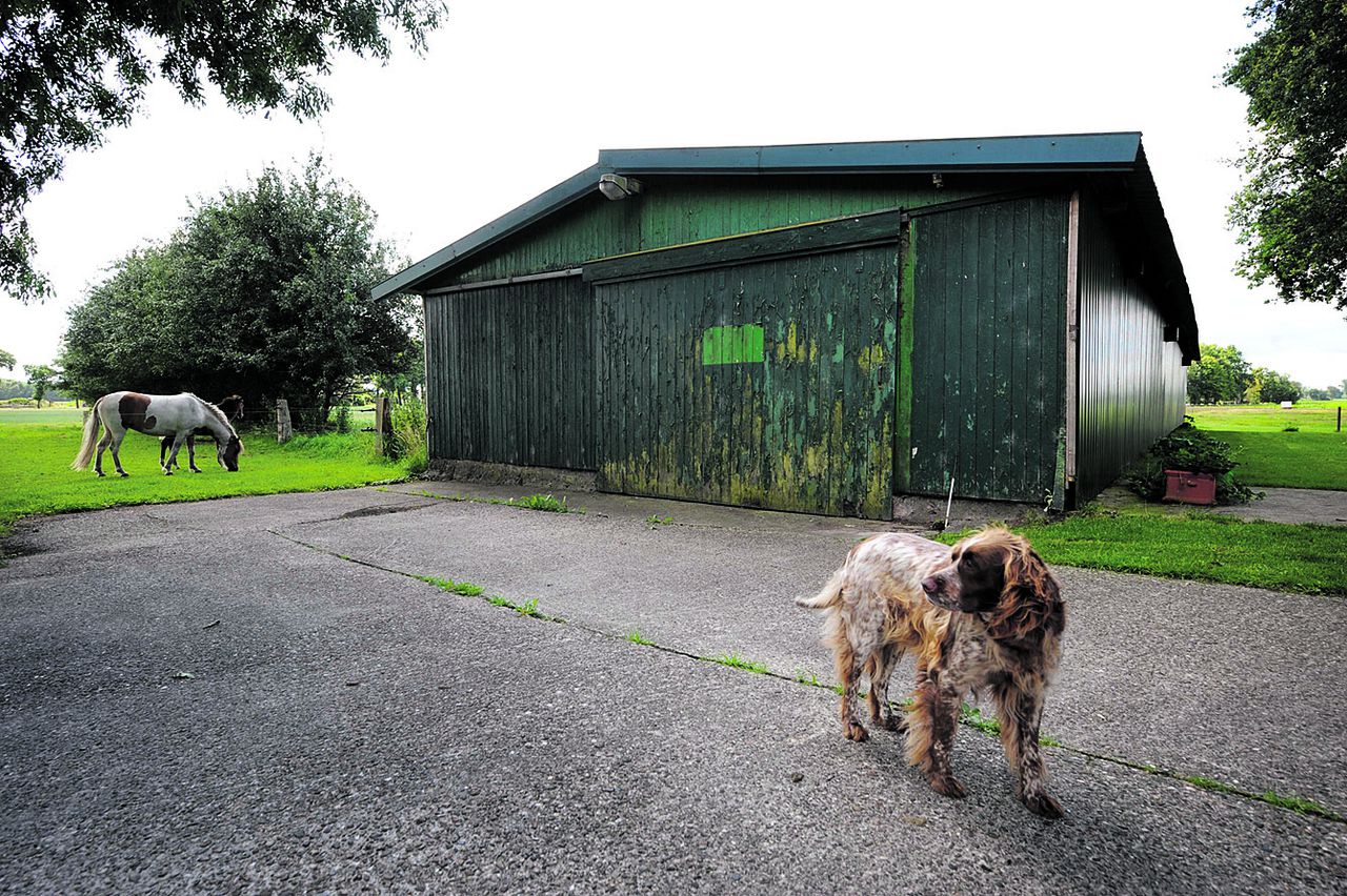 Een schuur wordt weer barak in Westerbork - NRC