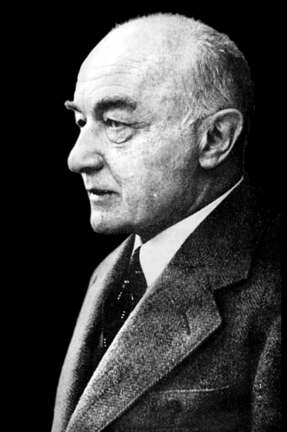 De schrijver als handlezer - NRC