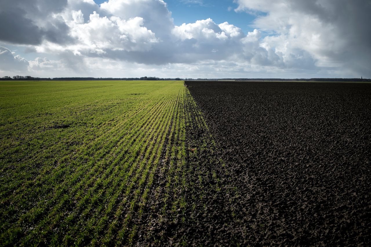 ‘Europees programma voor vergroening landbouw heeft niet gewerkt’ - NRC