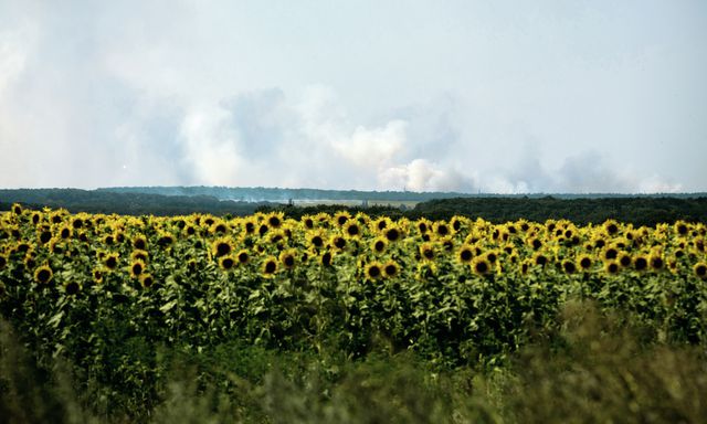 NRC - Nieuws, achtergronden en onderzoeksjournalistiek