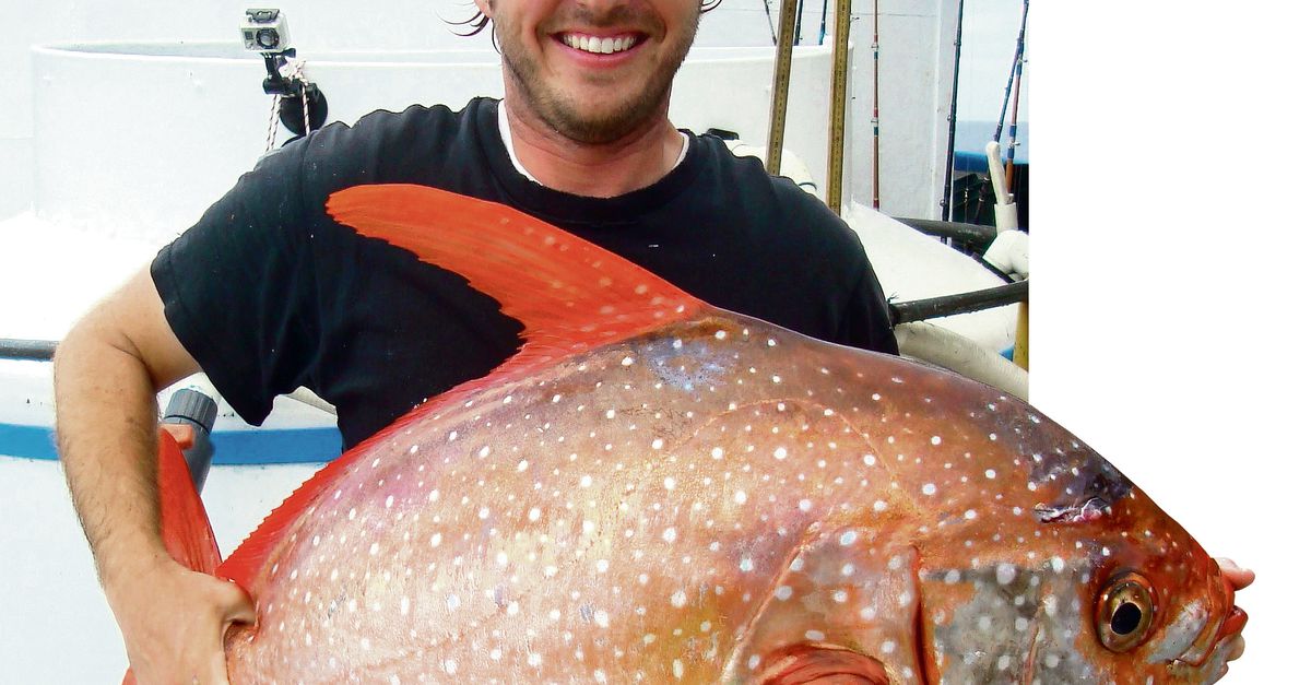 Vis in koude diepzee heeft warm lijf - NRC