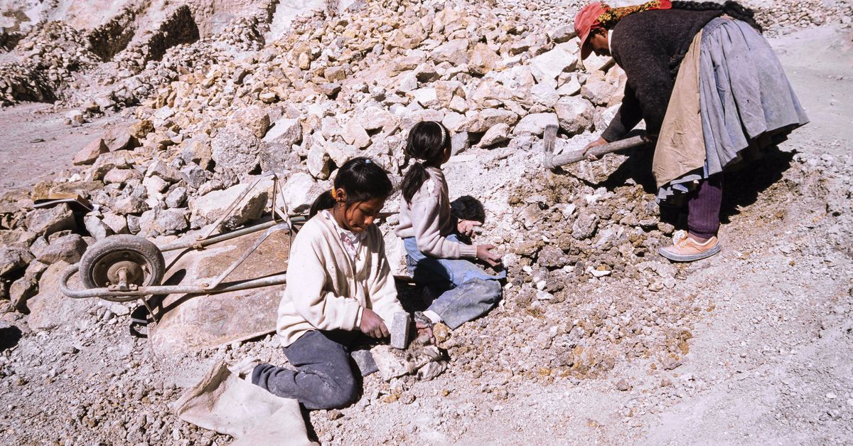 Bijna 50 miljoen mensen leefden vorig jaar in moderne slavernij - NRC