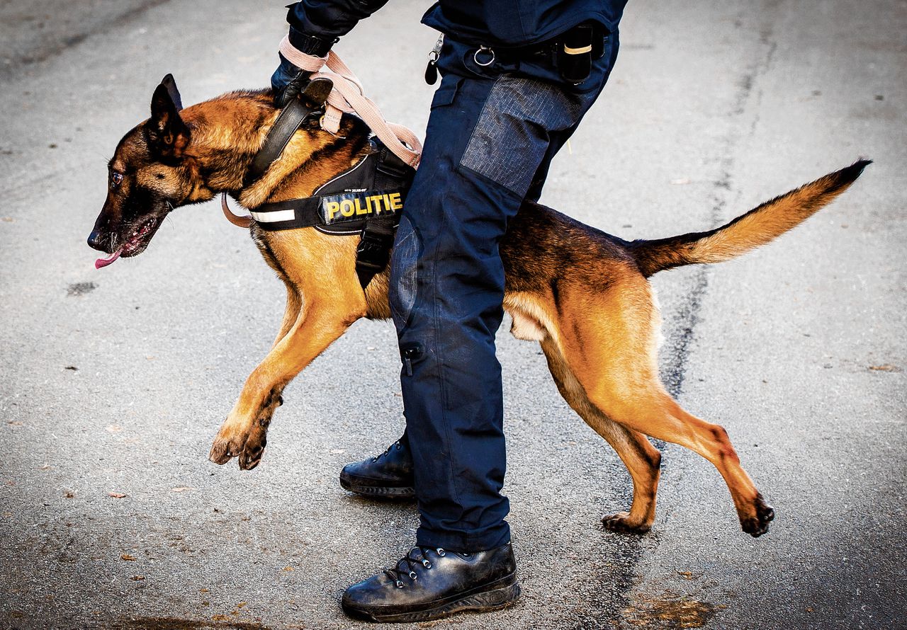 Respectvol, diervriendelijk getraind: alleen dan politiehond - NRC